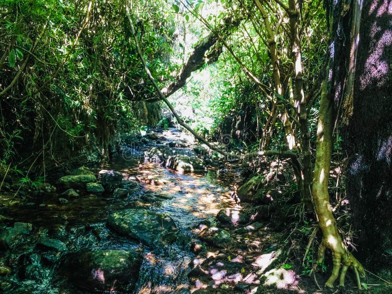 Waterfall Point at Lovers Leap Falls at Piduruthalagala Forest Reserve ...