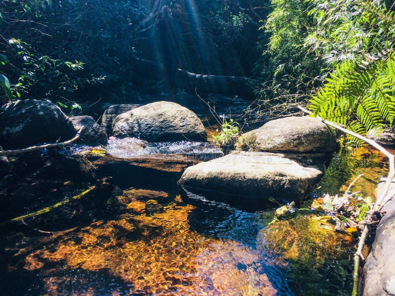 Waterfall Point at Lovers Leap Falls at Piduruthalagala Forest Reserve ...