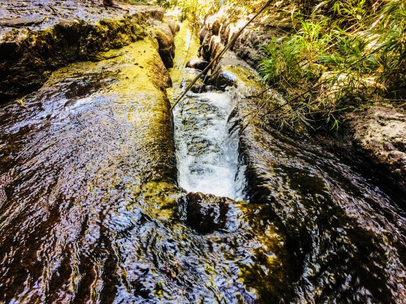 Waterfall Point at Lovers Leap Falls at Piduruthalagala Forest Reserve ...