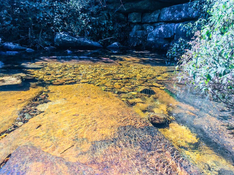 Waterfall Point at Lovers Leap Falls at Piduruthalagala Forest Reserve ...