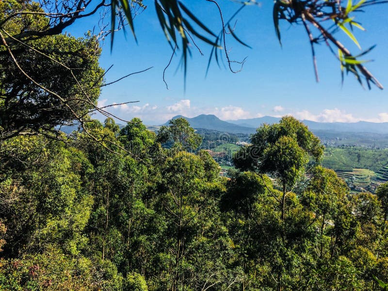 Waterfall Point at Lovers Leap Falls at Piduruthalagala Forest Reserve ...