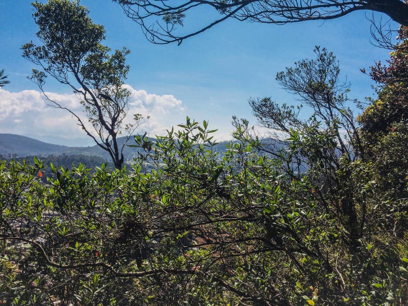 Waterfall Point at Lovers Leap Falls at Piduruthalagala Forest Reserve ...
