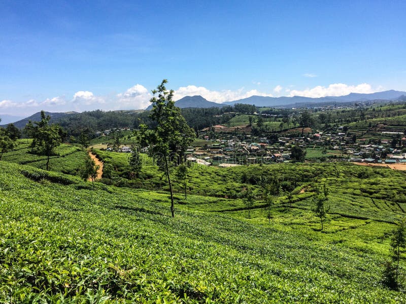 Waterfall Point at Lovers Leap Falls at Piduruthalagala Forest Reserve ...