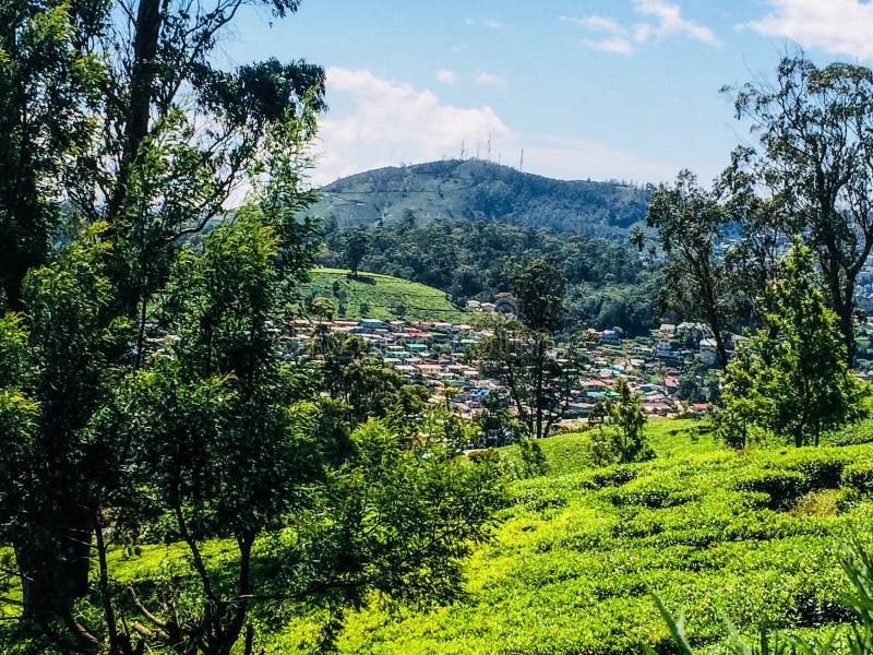 Waterfall Point at Lovers Leap Falls at Piduruthalagala Forest Reserve ...
