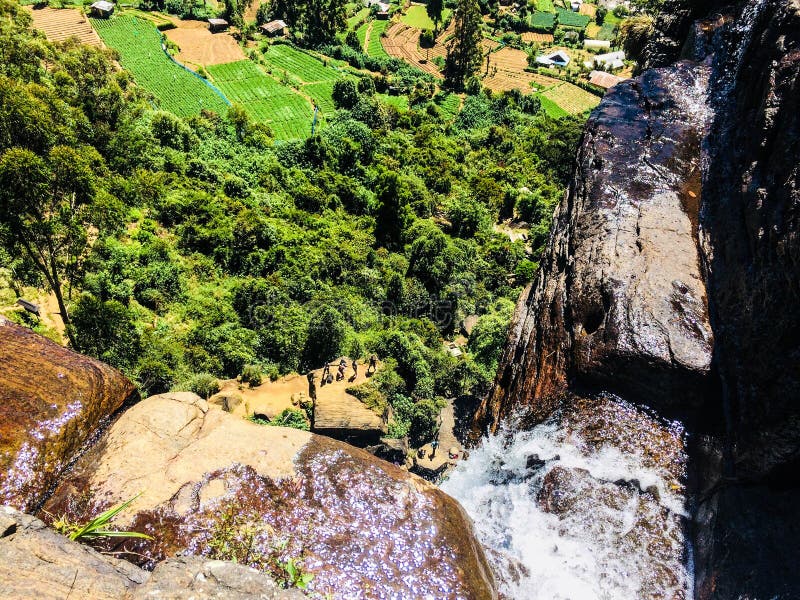 Waterfall Point at Lovers Leap Falls at Piduruthalagala Forest Reserve ...
