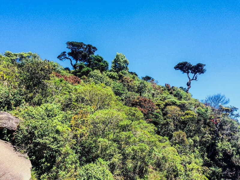 Waterfall Point at Lovers Leap Falls at Piduruthalagala Forest Reserve ...