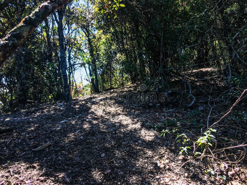Waterfall Point at Lovers Leap Falls at Piduruthalagala Forest Reserve ...