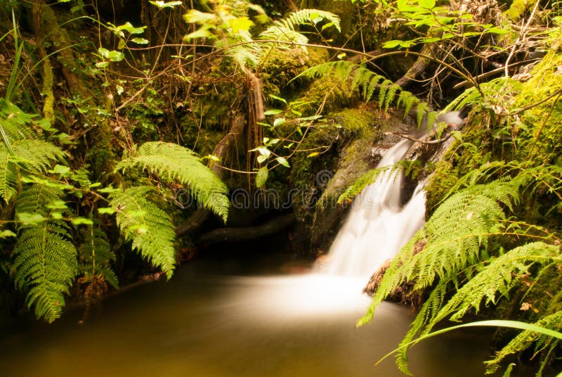 Quiet Waterfall stock photo. Image of water, cliff, hawaii - 1568832