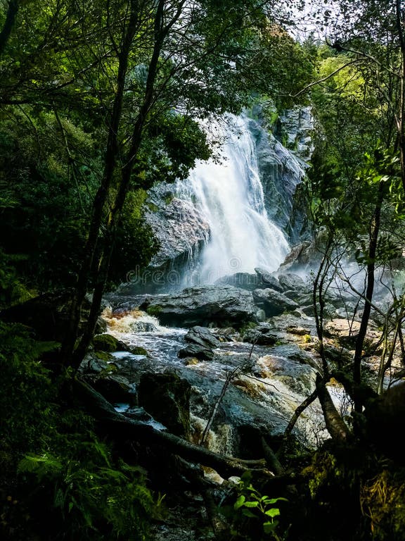 Waterfall stock photo. Image of waterfall, water, mountain - 288082374