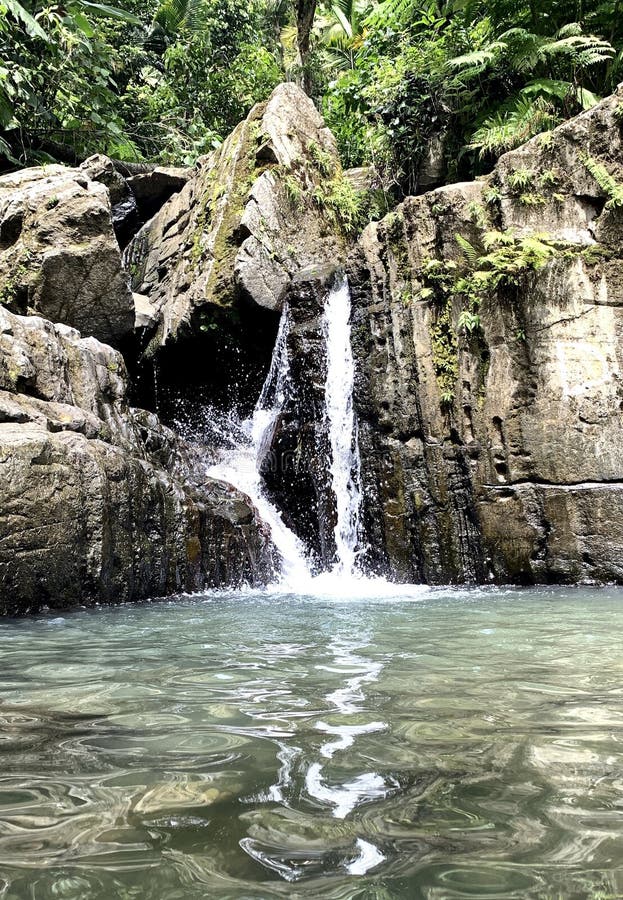 Waterfall in Puerto Rico stock image. Image of forest - 157514849