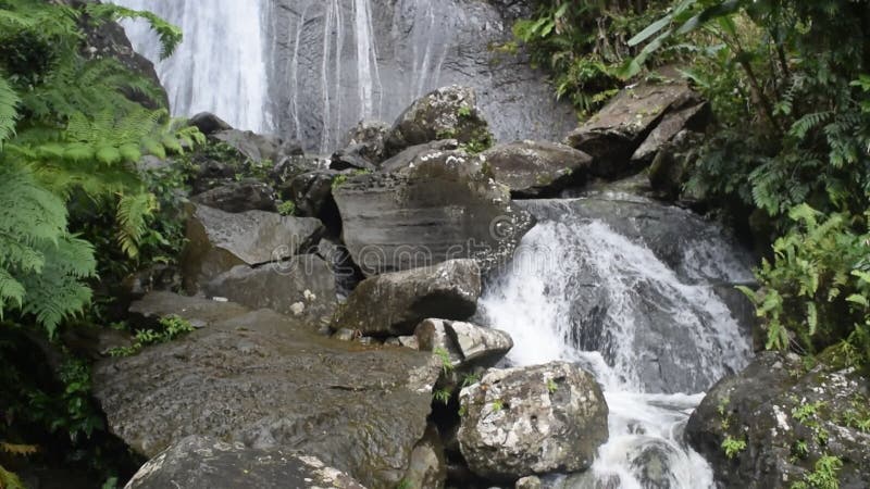 4K Waterfall in Puerto Rico. Kids Jumping in Water. Stock Footage ...