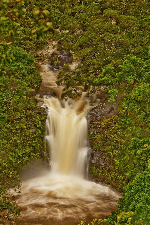 Waterfall in a rain forest stock photo. Image of relaxing - 12208574