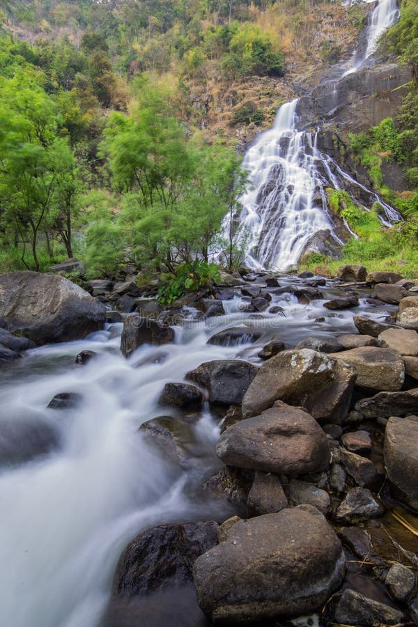 Waterfall in rain forest stock photo. Image of destinations - 40793902