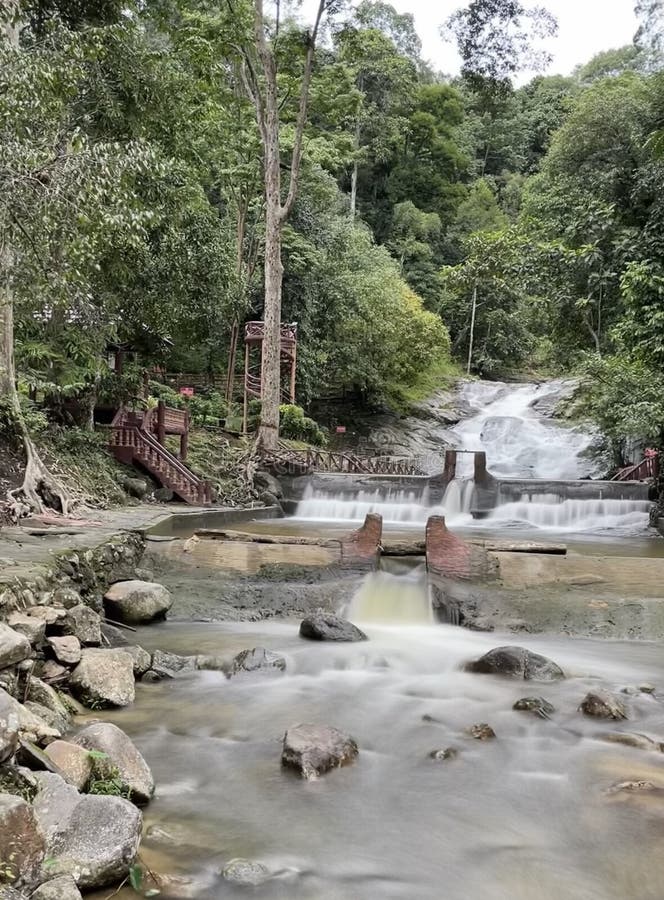 Waterfall in the Rain Forest Stock Photo - Image of watercourse, nature ...