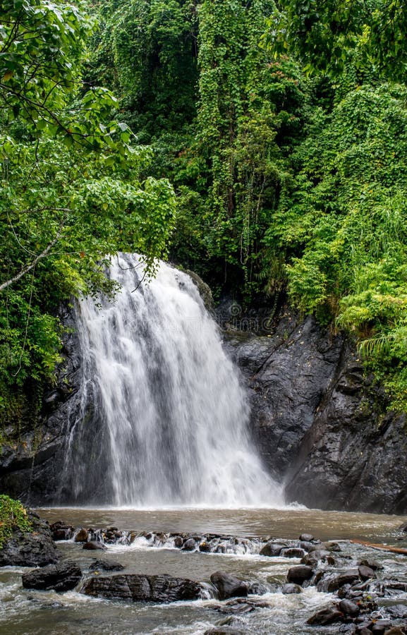 Waterfall in the Rain Forest Stock Photo - Image of fiji, natural: 68911264