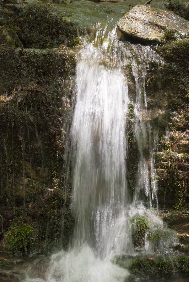 Waterfall in the Rain Forest Stock Photo - Image of flow, flowing ...