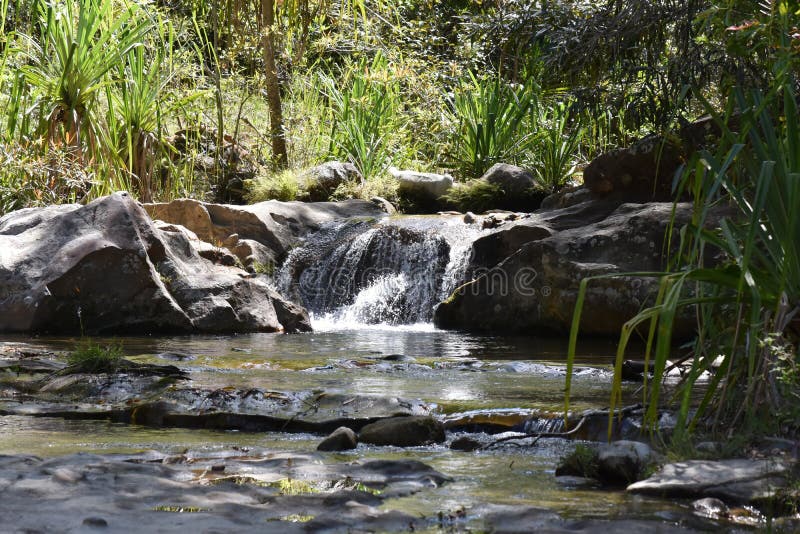 Rainforest Waterfall Madagascar Stock Photo - Image of jungle, idyllic ...