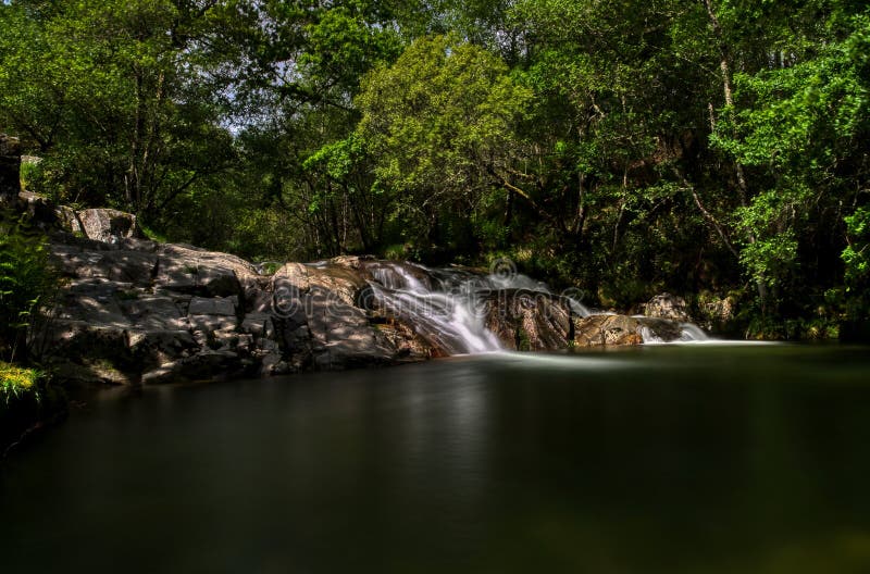 Waterfall in the Rain Forest.Waterfall. Mountain River Stock Image ...