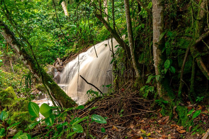 Waterfall with Rain Water in the Rain Forest Stock Photo - Image of ...