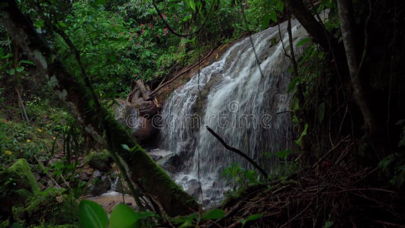 Waterfall with Rain Water in the Rain Forest Stock Footage - Video of ...