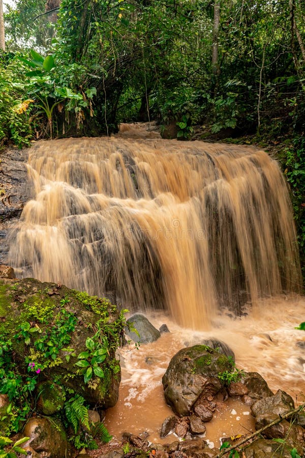 Waterfall with Rain Water in the Rain Forest Stock Image - Image of ...
