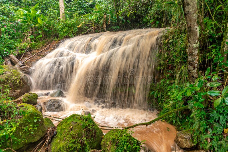Waterfall with Rain Water in the Rain Forest Stock Image - Image of ...