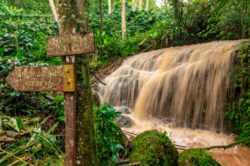 Waterfall with Rain Water in the Rain Forest Stock Photo - Image of ...