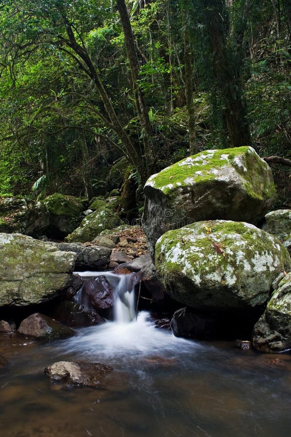 Waterfall in Rainforest stock image. Image of woods, flowing - 4968913