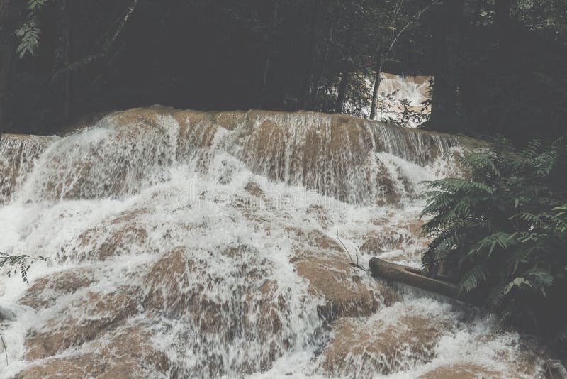 Waterfall in Rainforest. Cascade in Forest Stock Image - Image of ...