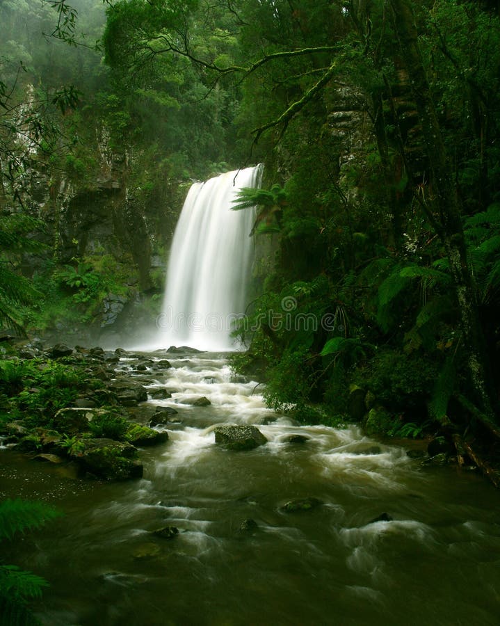Waterfall In Rainforest, Victoria Stock Photo - Image of landscape ...