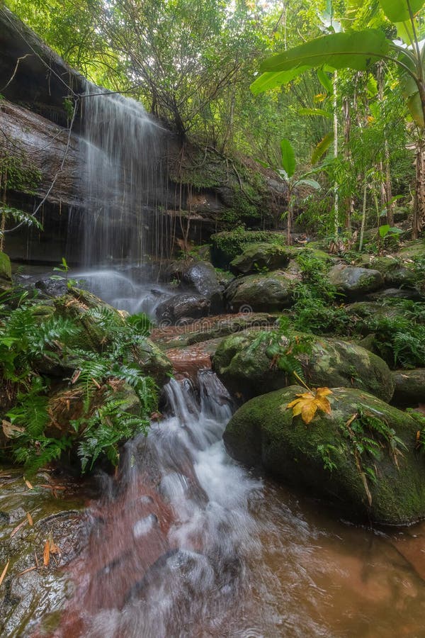 The Waterfall on Raining Season Stock Photo - Image of large, brown ...