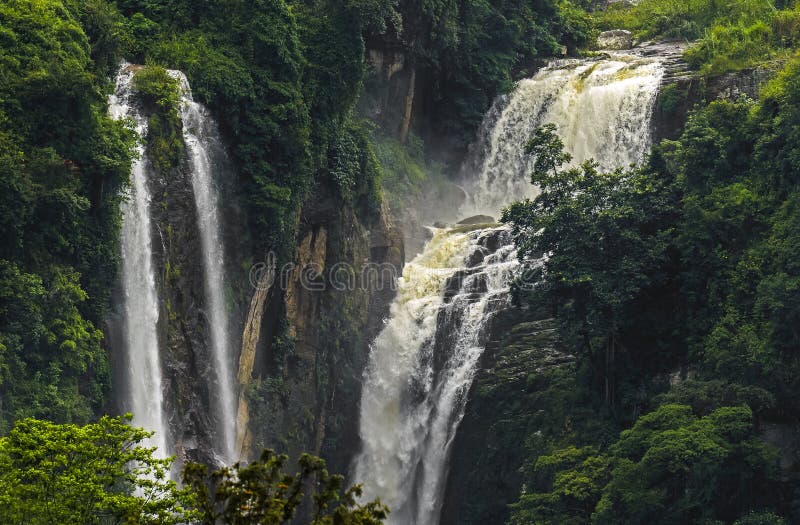 Ramboda Waterfalls stock photo. Image of jungle, trees - 12838020