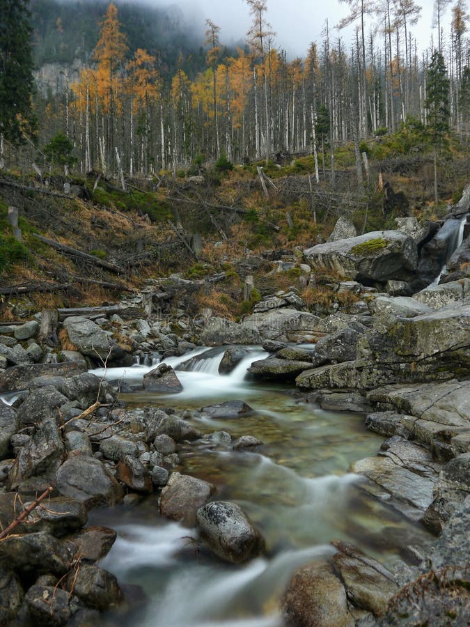 White rapids. stock image. Image of rapids, white, nature - 32210147