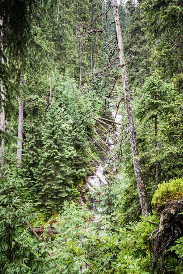 Waterfall from ravine stock image. Image of beautiful - 76802339