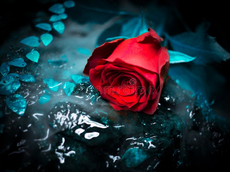 Waterfall and Red Roses Photograph Stock Image - Image of aquarium ...