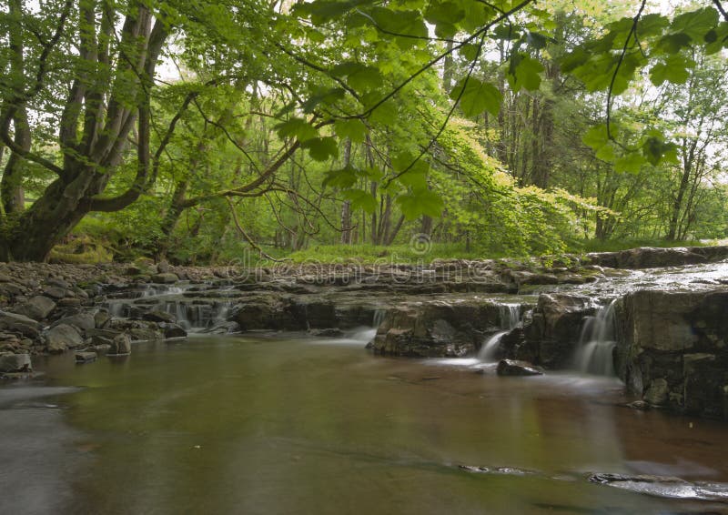 Waterfall stock image. Image of fish, erode, bottom, froth - 87979007