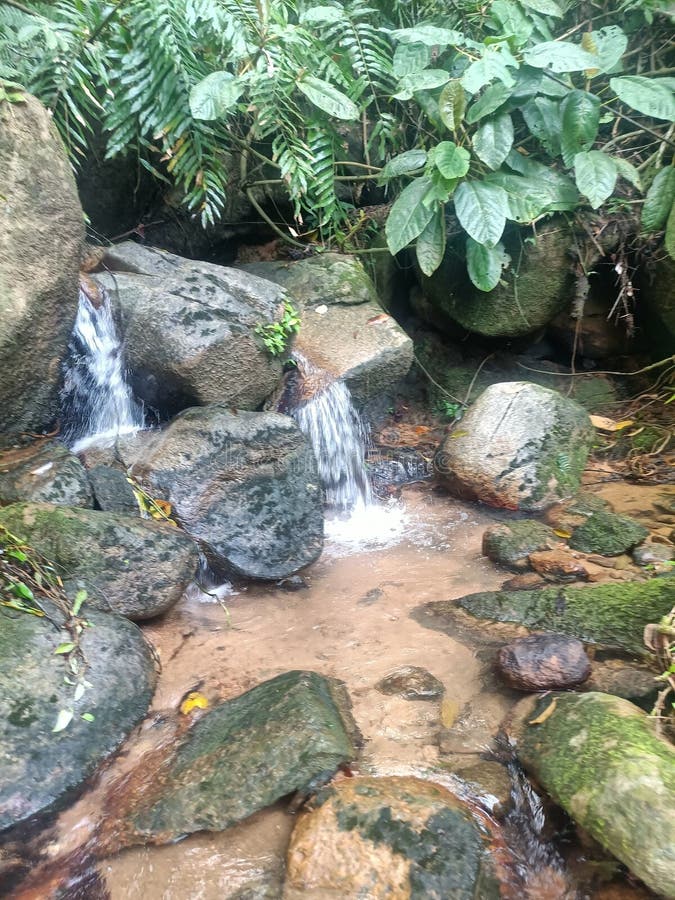 Waterfall river nuture stock photo. Image of garden - 269416426