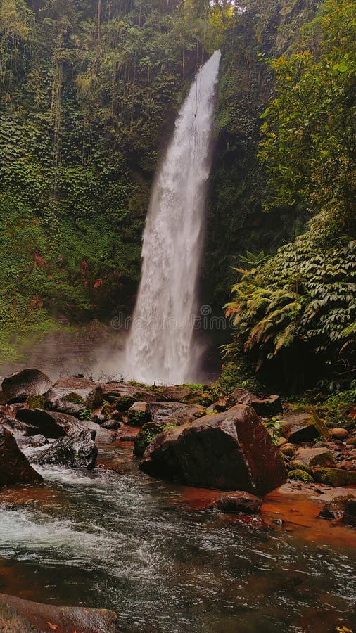 Waterfall River and Rock with Forest View Stock Photo - Image of spring ...