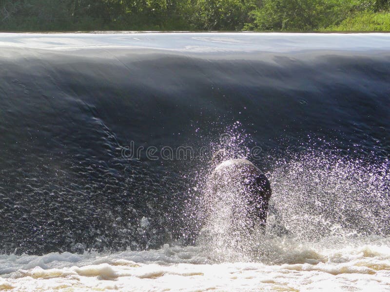 Waterfall in River with Spreading Foam Stock Photo - Image of heating ...
