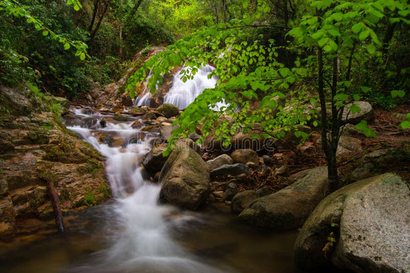 Waterfall and River in Spring Stock Photo - Image of tree, path: 31193628