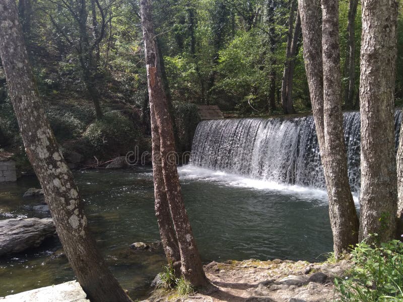 Waterfall stock image. Image of water, waterfall, trees - 145967841