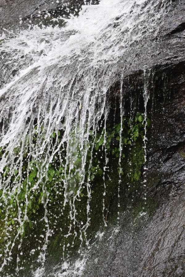 Rivulets stock image. Image of rills, rivulets, runs, angeles - 173921