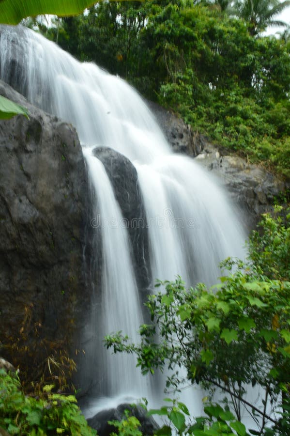 Waterfall and the rock stock image. Image of plants - 181641263