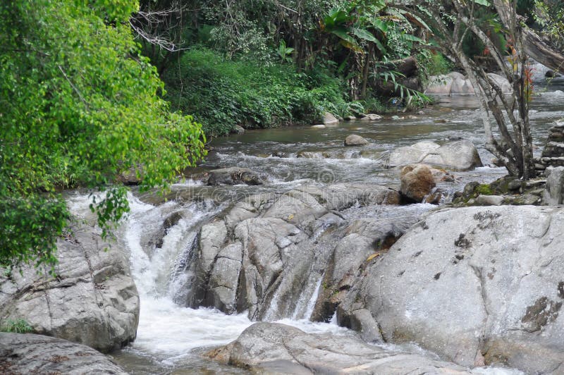 Waterfall ,rock and Tree in the Forest or Waterfall Background Stock ...