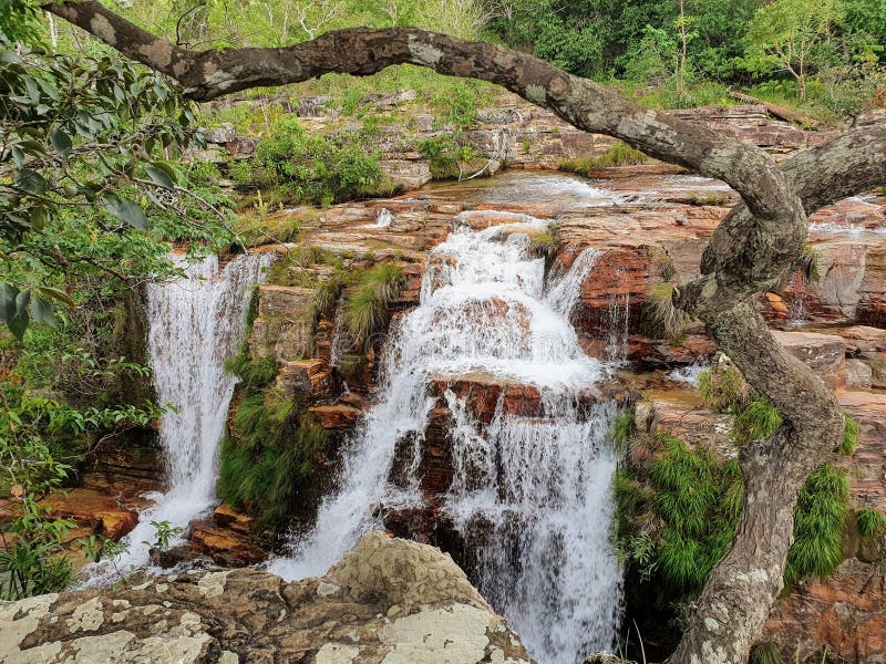 Waterfall of Rocks Amid Forest with Many Trees Around Stock Image ...