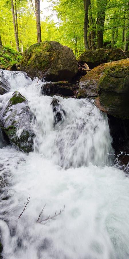Waterfall among wet rocks stock image. Image of scenic - 271505403