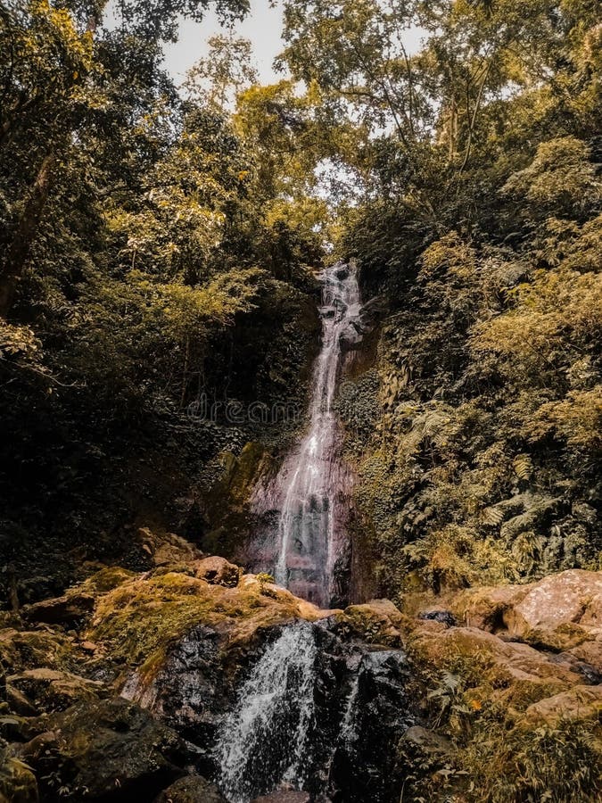 Waterfall Rocks Forest Tree Sky am Stock Image - Image of tree ...
