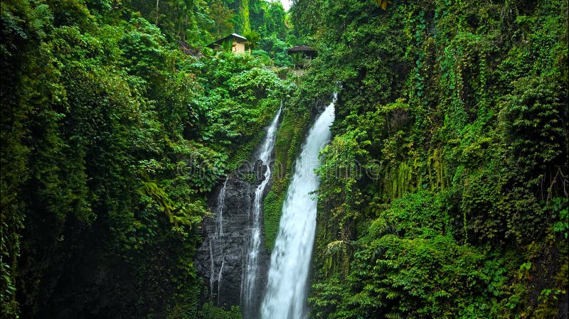 Waterfall with Rocks among Tropical Jungle with Green Plants and Trees ...