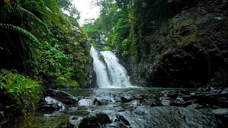Waterfall with Rocks among Tropical Jungle with Green Plants and Trees ...