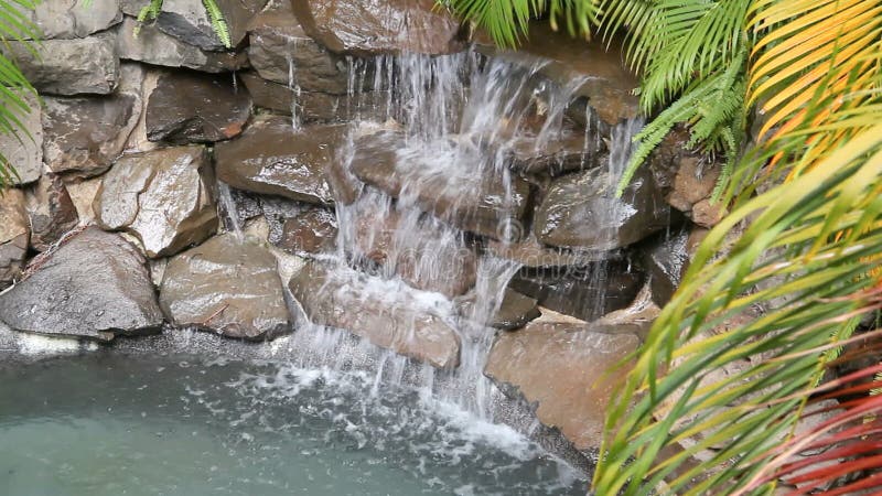 Waterfall on Rocks stock video. Video of 1920x1080, palm - 37184011